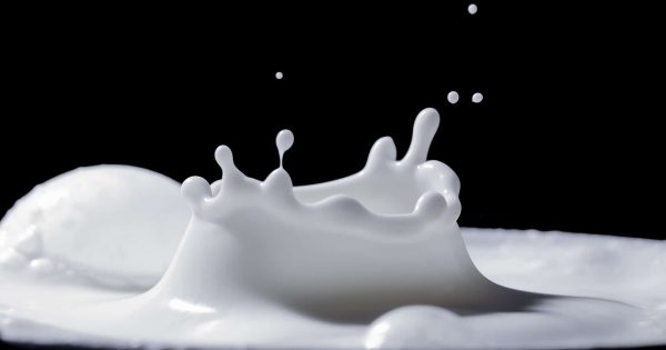 Quel est le meilleur entre un lait entier et un demi écrémé ? - Astuces ...